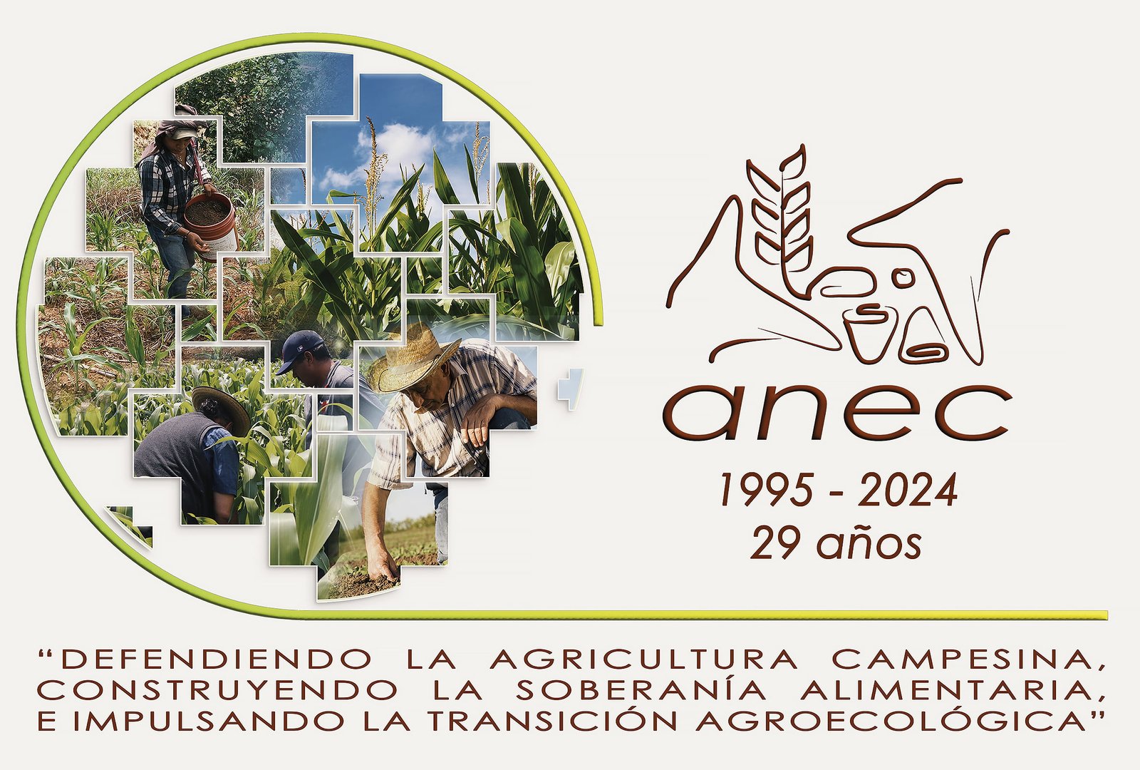 imagen-anec-29-anos-1995-2024-1